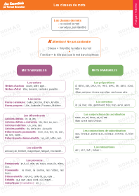 3e - Les classes de mots - Nomad Education